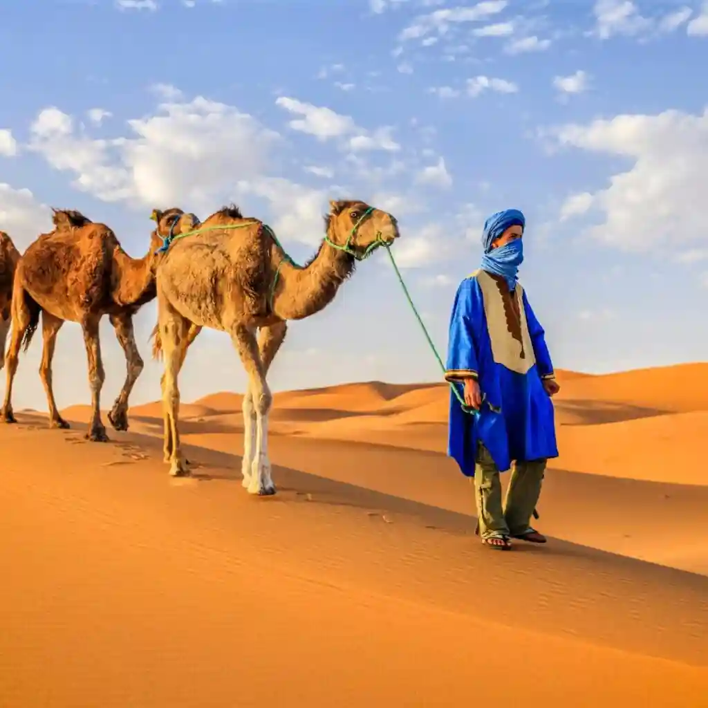 Epic Imperial Cities With Sahara Adventure |Egypt Time Tours